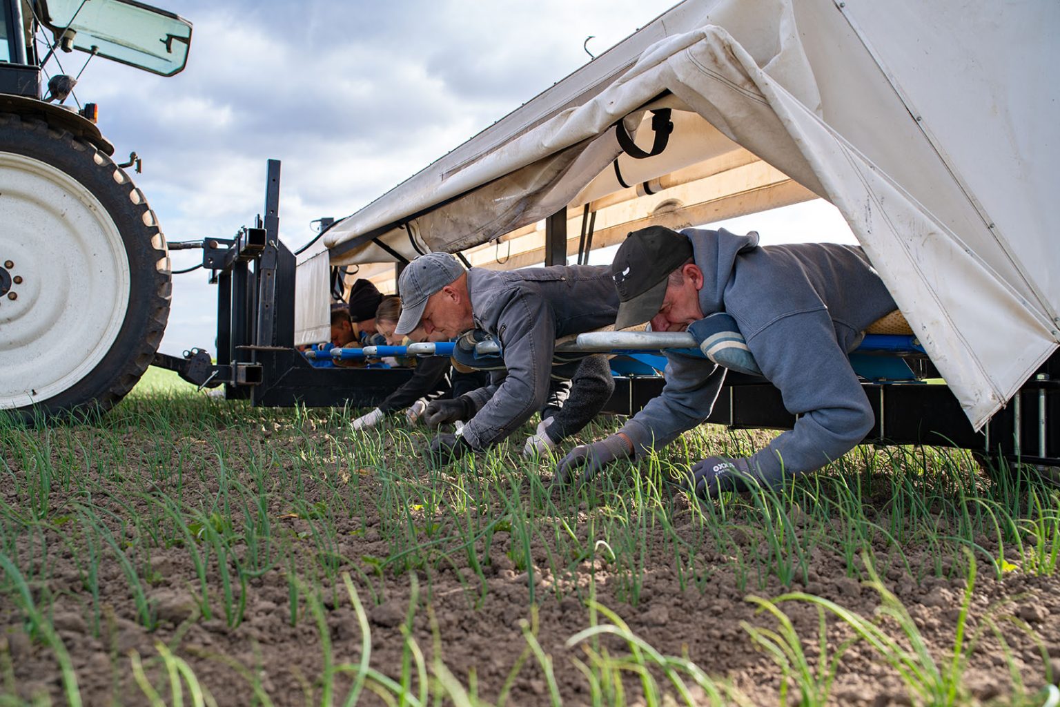 Over ons - Level One Uitzendbureau